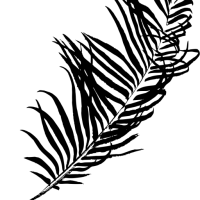 THE ULTIMATE GUIDE TO CLEANING & MAINTENANCE – CLEAN MY OFFICE TODAY